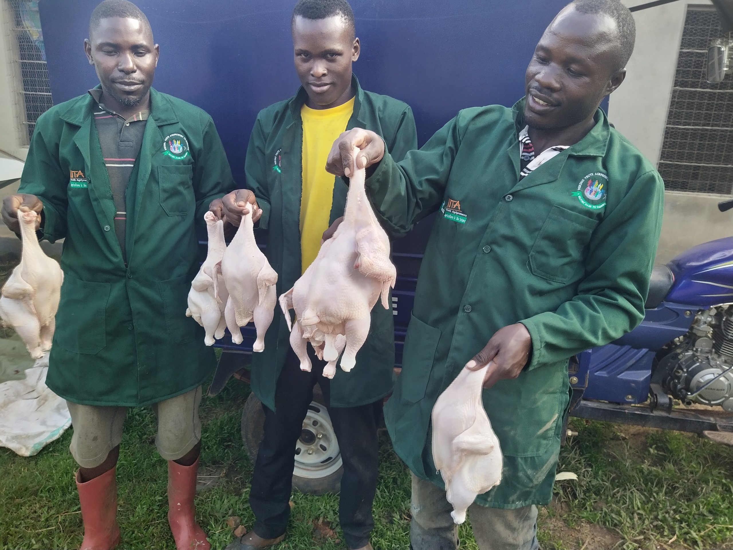 Mukono Youth Agripreneurs Thrive with Poultry Business Expansion ... Mukono Youth Agripreneurs Thrive with Poultry Business Expansion ...